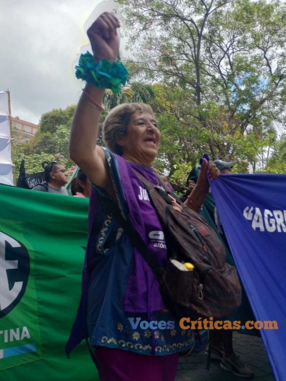 Paro nacional del 24 E: así fue la multitudinaria movilización en Salta ...