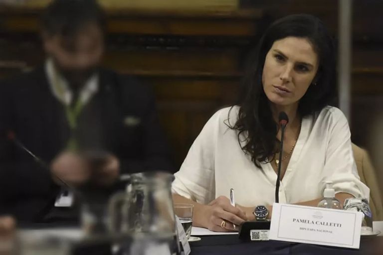 Calletti apunto contra Estrada: "no puede usar el recinto como un ...