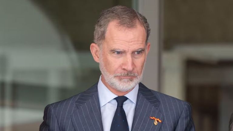 Conocé el secreto mejor guardado del rey Felipe VI: su fugaz y ...