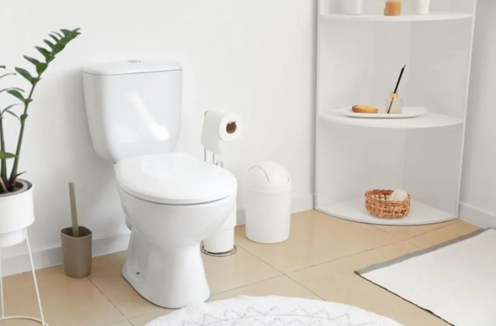 Conseguí un inodoro impecable usando solo dos productos que guardás en ...