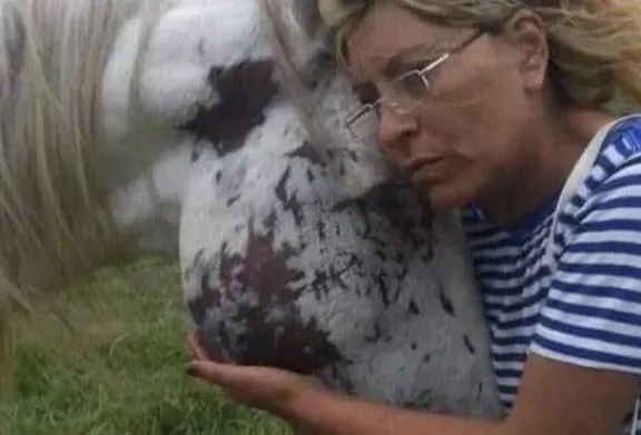 Murió Nicole Sasso, reconocida proteccionista de animales en Salta ...